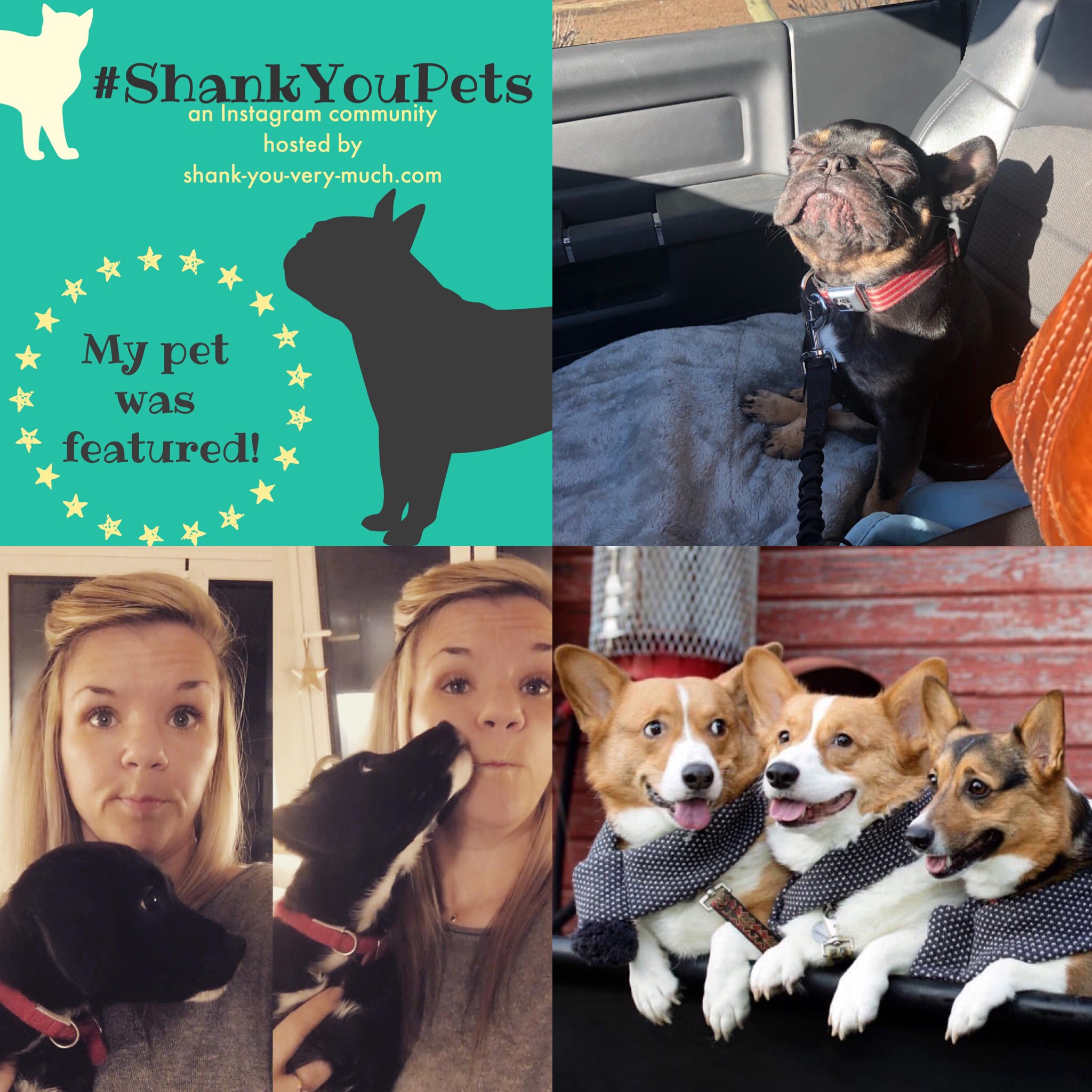 #ShankYouPets week 54… – Shank You Very Much